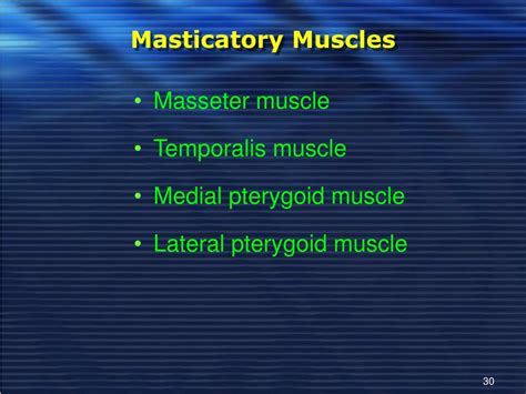 Ppt Introduction And Review Of Masticatory System Powerpoint
