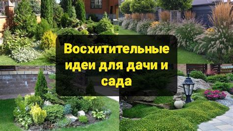 Восхитительные идеи для дачи и сада🔥 дачаидеи дачасвоимируками хвойные клумба