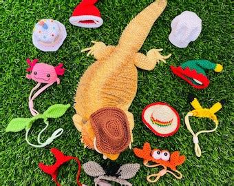 13 Bearded Dragon Crochet Patterns Fun And Unique Designs