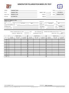 GENERATOR POLARIZATION INDEX PI TEST Generator Polarization Index Pi Test Pdf PDF PRO