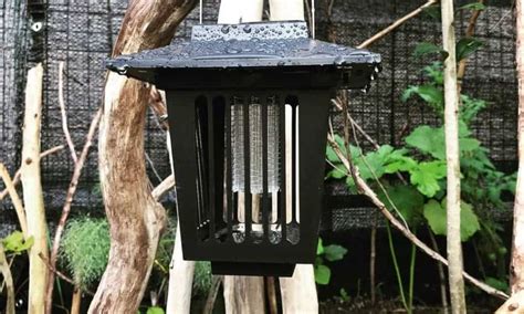 How To Choose Solar Bug Zapper Solar Living Savvy