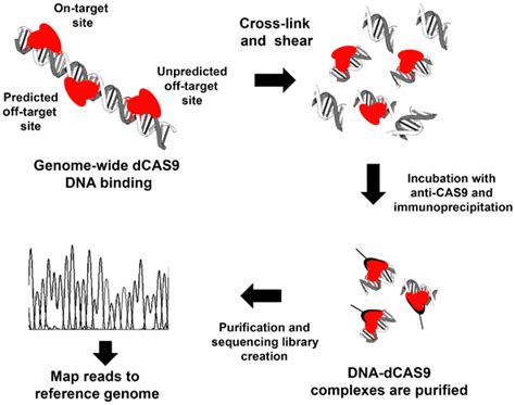 basic free text editor operfenter