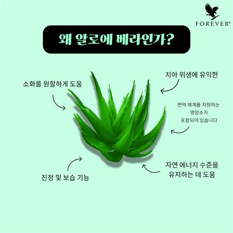 알로에 베라는 알로에속의 다육 식물종으로 🌵 전 Forever Living Products Korea Facebook