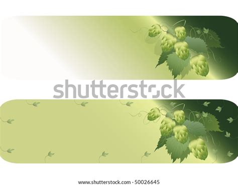 Hops Background Stock Vector Royalty Free 50026645 Shutterstock