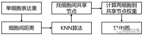 FindNeighbors与FindClusters 基础转自 scRNA Seq细胞聚类的算法原理 目前每个细胞中 掘金
