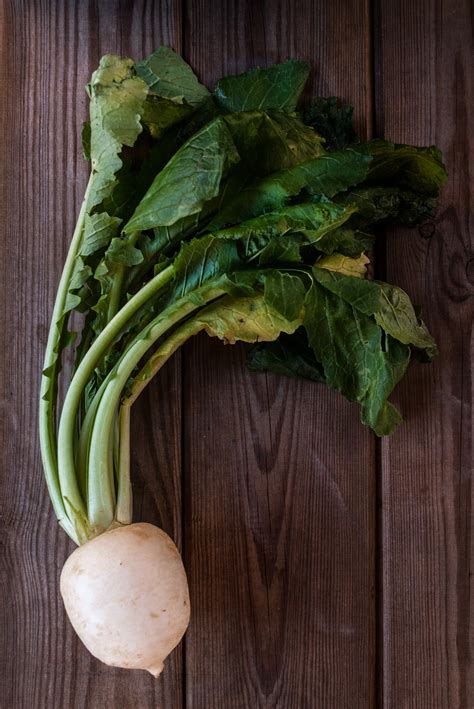 Free Images Leaf Vegetable Cruciferous Vegetables Spring Greens Chard Plant Collard