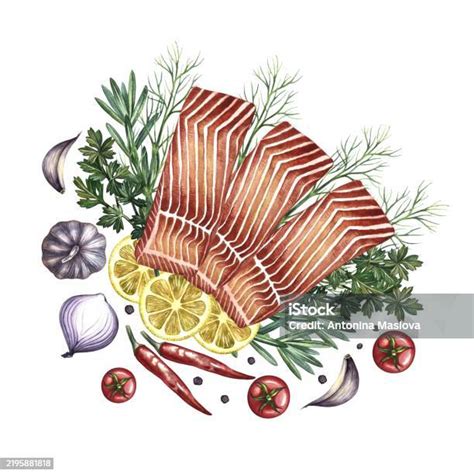 얇게 썬 붉은 생선 필레와 야채 손으로 그린 수채화 일러스트 생선 요리의 컬러 이미지입니다 흰색 배경에 메뉴 요리책 패키지 라벨 초대장 및 배너용 0명에 대한 스톡 벡터
