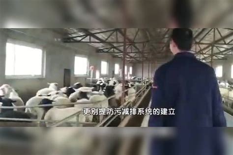 养殖户开始头疼了，这5种养殖方式或将被禁止，注意别被罚款