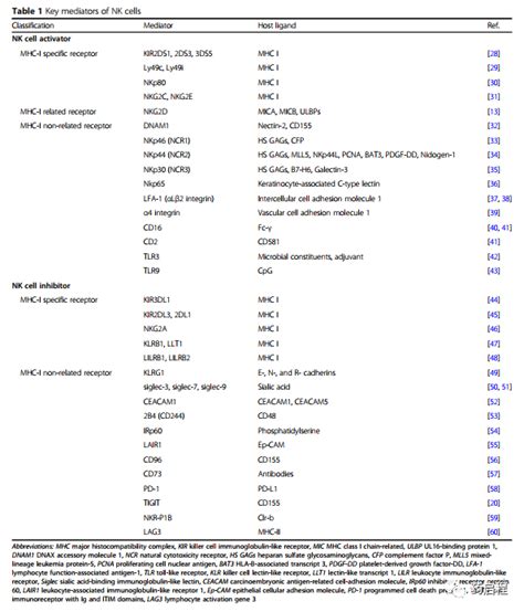 Nk细胞生物学特性 知乎