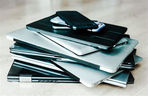 11 Best Carbon Offset Programs To Balance Your Carbon Footprint