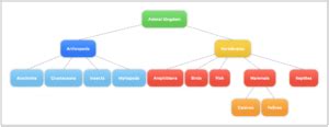 The Swiftui Layout Protocol Part The Swiftui Lab