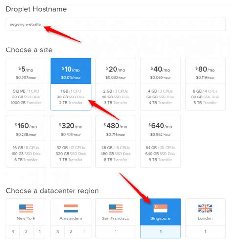 Cara Install Wordpress Di Vps Menggunakan Serverpilot Sugengid