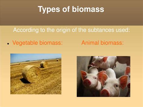 Ppt Biomass Powerpoint Presentation Free Download Id4804107
