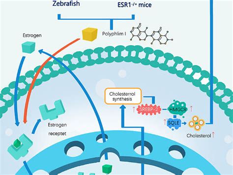 科研绘图 素材网站 图片免费下载 Zcool站酷