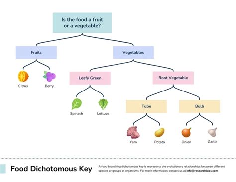 Dichotomous Key Biology Simple