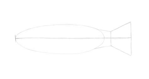 How To Draw A Fish Envato Tuts