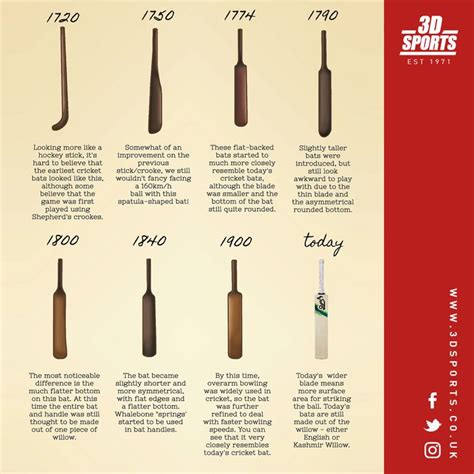 The History Of The Cricket Bat Infographic Cricket Bat History