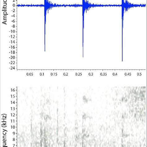 Time Waveform Top And Frequency Spectrogram Bottom Of A Typical
