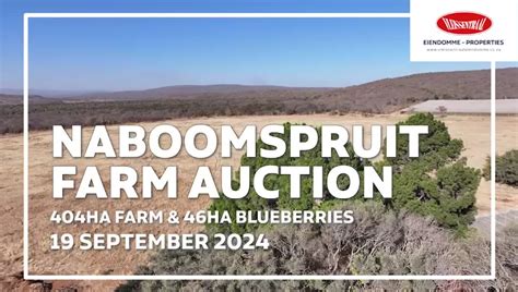 Andreas Greeff On Linkedin Naboomspruit