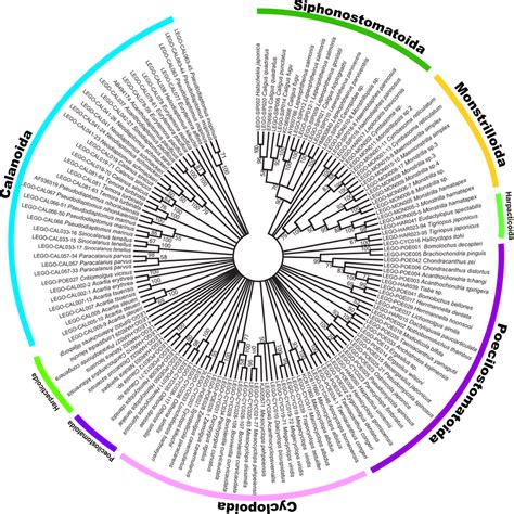 Unrooted Neighbor Joining Nj Tree Reconstructed With Nucleotide
