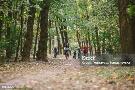 부모와 아이들이 숲 길에서 자전거를 타게 됩니다 가을 공원에서 젊은 가족 사이클링 숲에서 가족 산악 자전거 테마 가족 액티브 스포츠 야외 레크리에이션 가을 삼림 지대를 통해