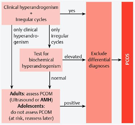 Diagnostic Workup Of Polycystic Ovary Syndrome Pcos According To 2023 Download Scientific