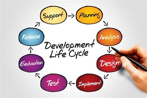 Software Design Development Nsindo