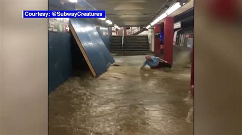 Mta Calls Queens Subway Flooding In Viral Video Absolutely