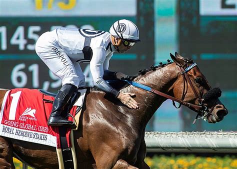 Going Global Could Top Banner Meet For Damato Philip Damato Racing
