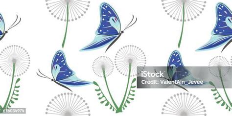 회색 민들레와 흰색 바탕에 파란색 나비 원활한 벡터 패턴입니다 0명에 대한 스톡 벡터 아트 및 기타 이미지 0명 곤충 꽃