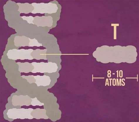 科普 怎样对一个人的基因组进行测序？ 知乎