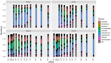 metabarcoding workflow