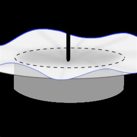 Three Different States Of Deformation Can Be Observed During The Download Scientific Diagram