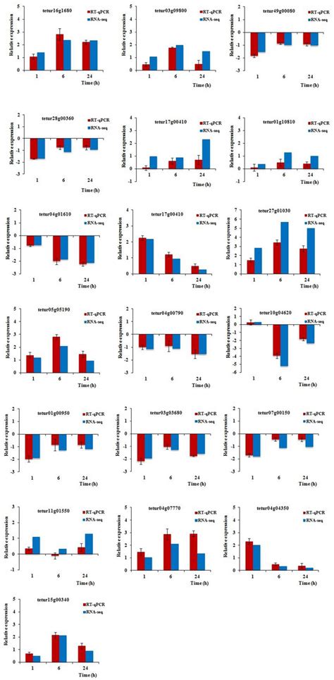 Quantitative Real Time Pcr Qrt Pcr Validation Of 19 Selected Download Scientific Diagram