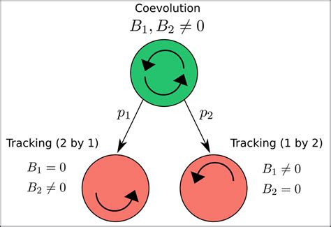 the network structure of hypotheses that can be distinguished using our