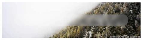 Css Backdrop Filter：给元素背景添加模糊与色调的高级滤镜 技术栈