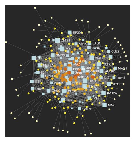 Integrated Bioinformatics Analysis Of Ami Geo Datasets A The