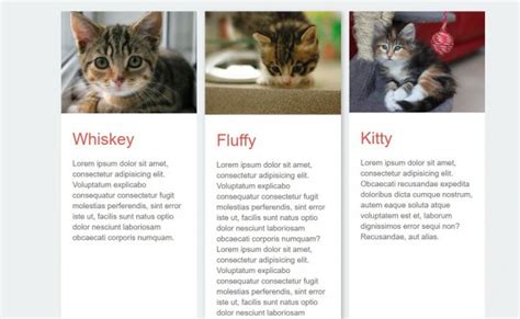 23 CSS Card Layout Examples With Code Snippets OnAirCode