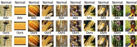 The Experimental Results Of The FGSM Method On ImageNet The First Line Download Scientific