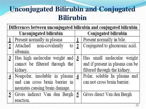 Difference Between Direct And Indirect Bilirubin
