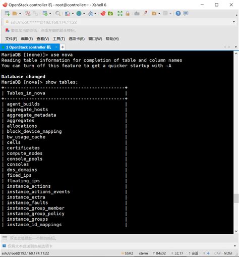 openstack 控制节点设置nova服务 openstack控制节点novaapi csdn博客