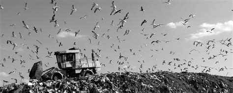 General Wastes Incinerators INCINERATOR