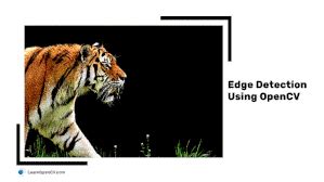 Opencv Edge Detection LearnOpenCV