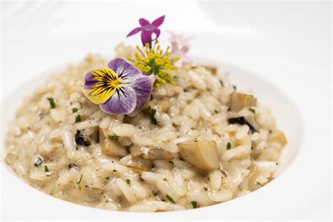 2 Recetas Gourmet Para Comenzar Deliciosamente El Año