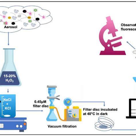 Pictorial Representation Of The Steps Involved In Aerosol Sample Download Scientific Diagram
