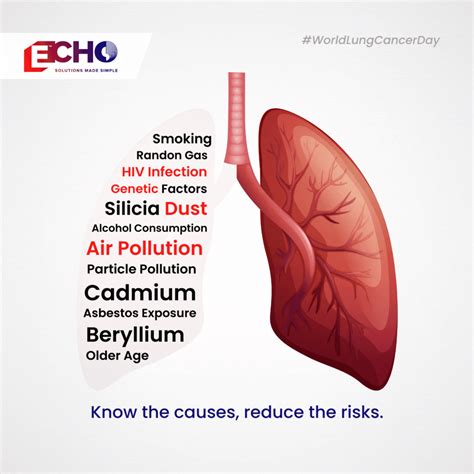 Echo It Solutions How To Fight Lung Cancer Echo It Solutions Posted