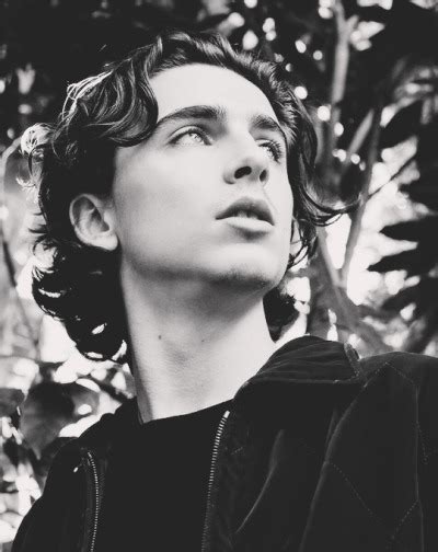 Timothée Chalamet by Ryan Pfluger Tumbex