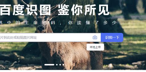 怎么查找图片的来源 360新知