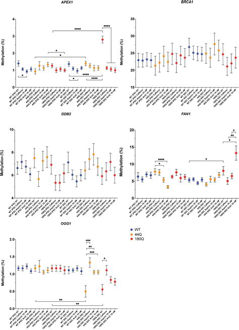 Suppression Of Trinucleotide Repeat Expansion In Spermatogenic Cells In Huntingtons Disease