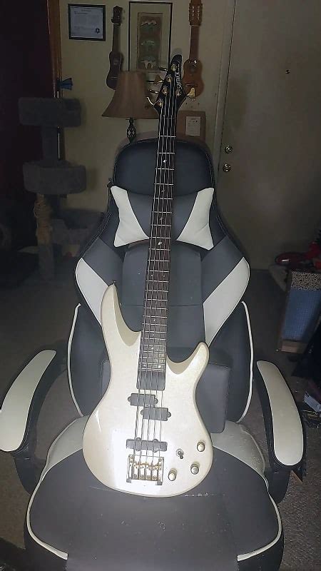 Samick Artist Series 5 String Bass Reverb